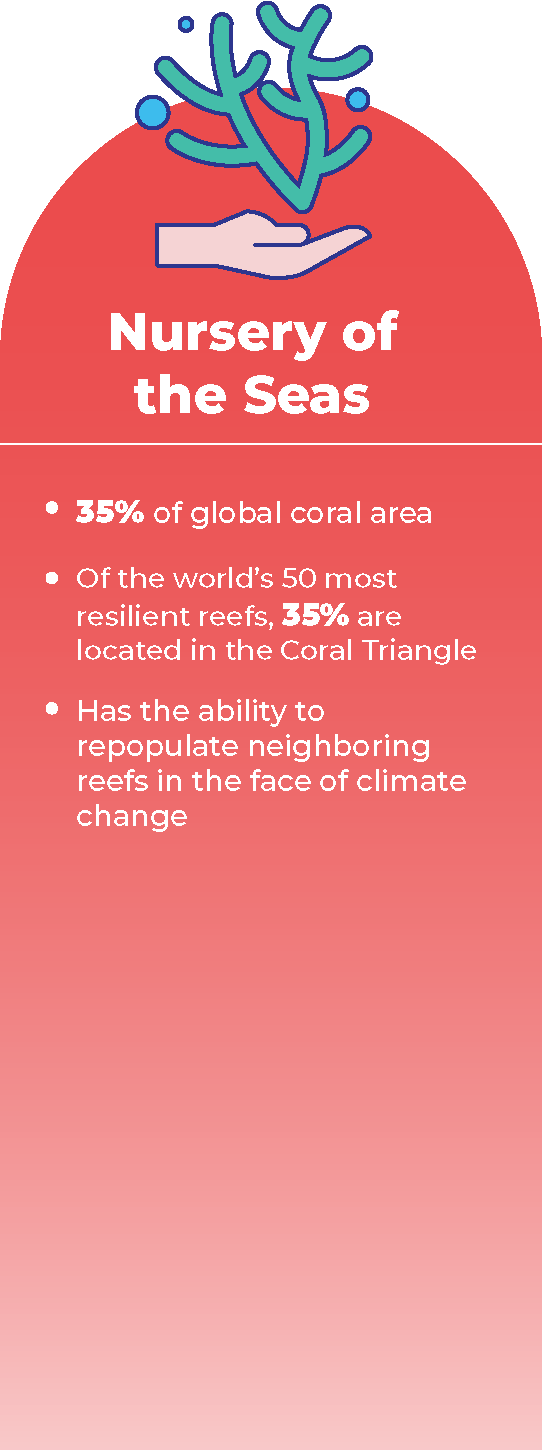 Where We Work - Coral Triangle Conservation Fund