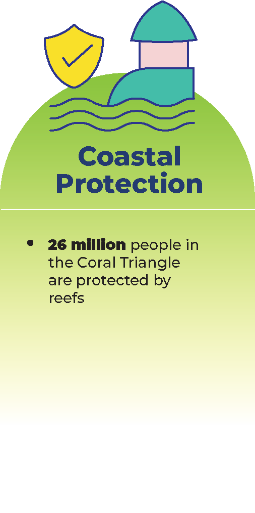 Where We Work - Coral Triangle Conservation Fund